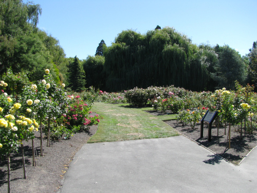 Centennial Rose Garden - Blenheim - The New Zealand Rose Society