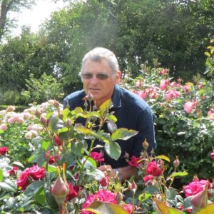 Rosy success at International Rose Trials - The New Zealand Rose Society